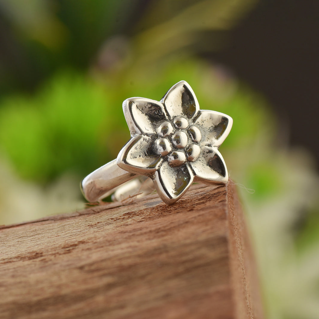 Rings – Silveristhan